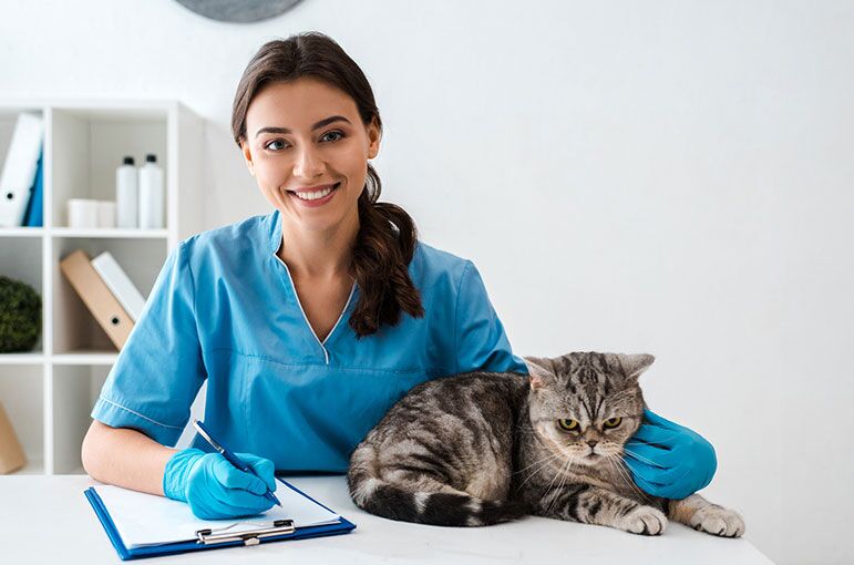 Outsource Pet Emergency Response & Triage with GuardianVets